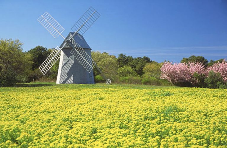 Old-Higgins-Farm-Windmill | Brewster Green Resort
